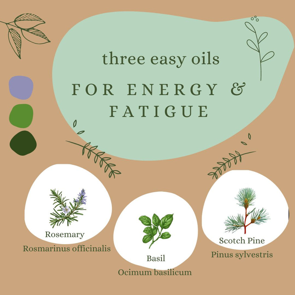 3 Easy Oils for Energy & Fatigue – Bloom Remedies